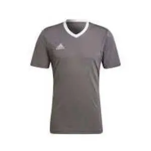 Adidas Entrada 22 Jersey Asia Sizing Asia Sizing - Grey