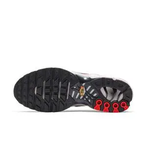 Nike Max Plus Sneakers - Silver/red