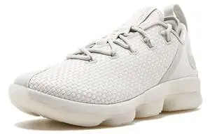 Nike Lebron 14 Low Athletic Sneakers