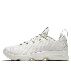 Nike Lebron 14 Low Athletic Sneakers