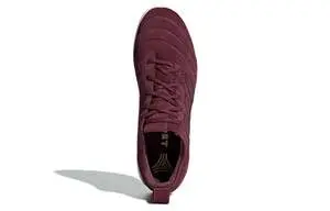 Adidas Copa 19+ Maroon Soccer Cleats