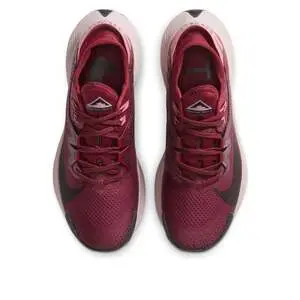 Nike Pegasus Trail 2 Sneakers