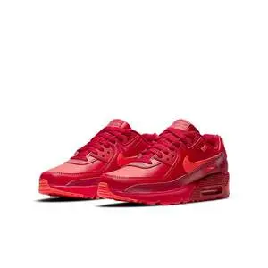 Nike Max 90 City Special Chicago