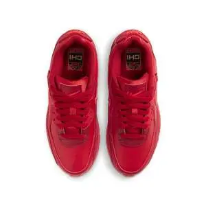 Nike Max 90 City Special Chicago