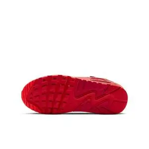 Nike Max 90 City Special Chicago