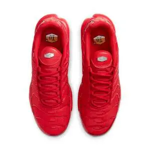 Nike Max Plus Sneakers