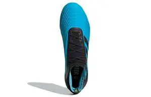 Adidas Predator 19.1 Fg Football Boots