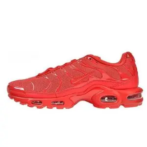 Nike Max Plus Sneakers