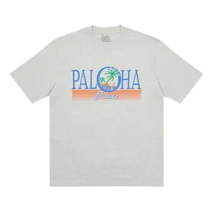 PALACE Fw22 Paloha T-shirt - Grey