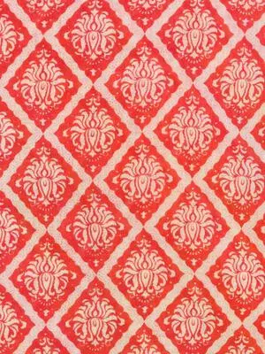 MOULETA Fringed Scarf