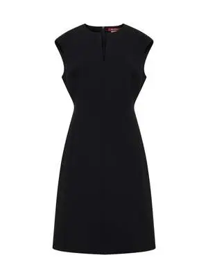 Max Mara Studio Cap Sleeves Dresses
