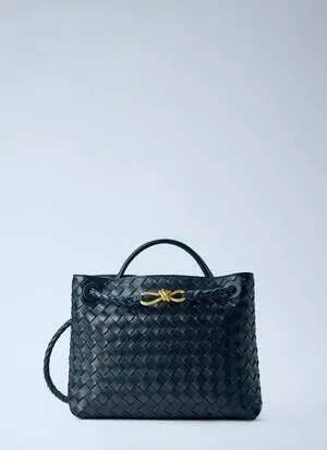 Bottega Veneta Small Andiamo Handbag