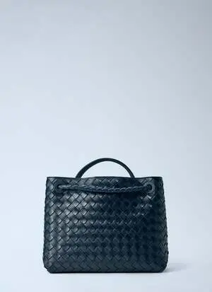 Bottega Veneta Small Andiamo Handbag