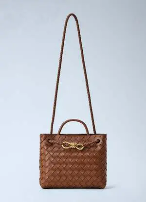 Bottega Veneta Small Andiamo Handbag - Brown