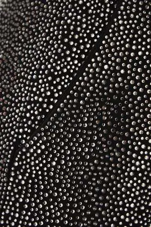 Giuseppe Di Morabito Embellished Skirt