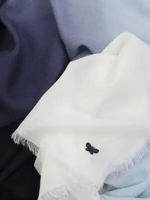 Max Mara Degrade Wool Scarf