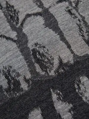 Alexander McQueen Skull Wool Crew Neck Sweater
