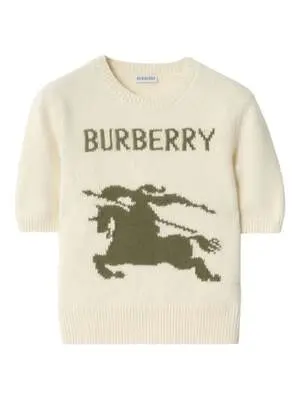 Burberry Skylar Ekd Sweater - Multicolor