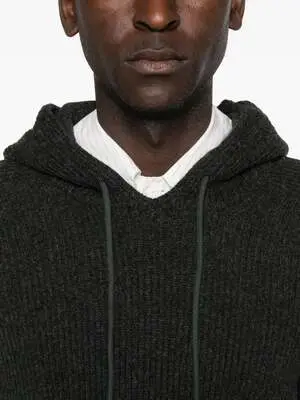 Tagliatore Wool Hooded Sweater