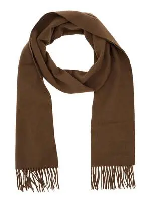Max Mara Dalia' Brown Rectangular Scarf With Logo Embroidery On The Front And Fringed Hem In Cashmere - Multicolor