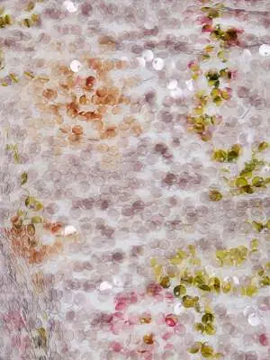 Alberta Ferretti Sequined Printed Shirt