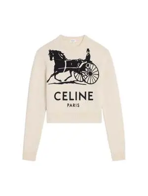 Celine Casual Knitwear For Men