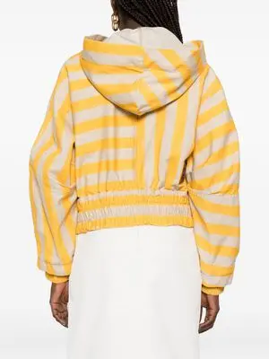 Fendi Striped Blouson Jacket - Multicolor