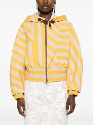 Fendi Striped Blouson Jacket - Multicolor