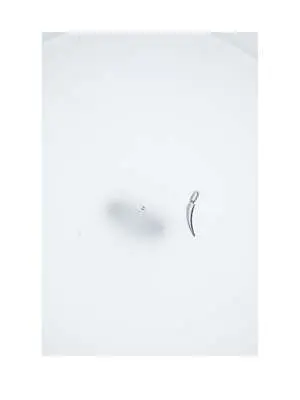 Celine Triomphe Horn Charm - Silver