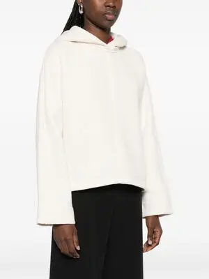 Max Mara Logo Cotton Hoodie - Multicolor