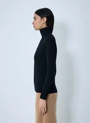 Max Mara Wool Turtleneck Sweater