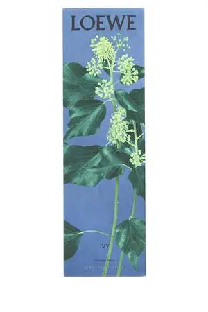 Loewe Ivy Incense Sticks - Multicolor