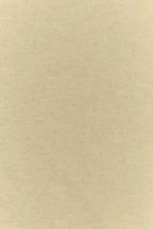 Prada Sand Silk Blend Scarf - Brown