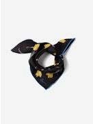 Jacquemus Scarves - Multicolor