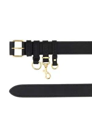 Miu Miu Black Leather Belt With Golden Metal Finishing - Brown