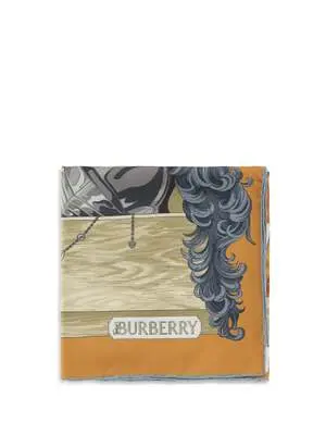 Burberry Wardrobe Scarf - Multicolor
