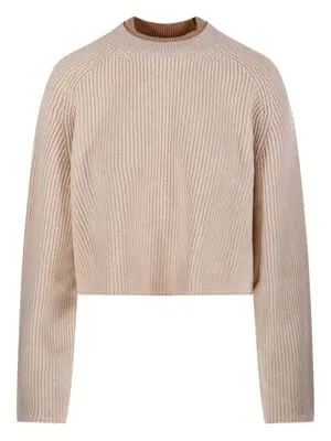 Max Mara Crew Neck Sweater In Cashmere Wool - Multicolor