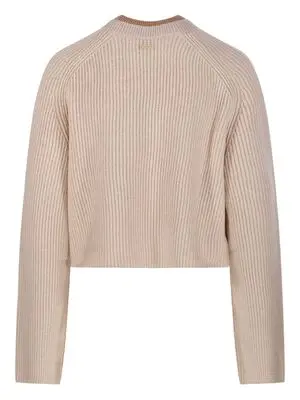 Max Mara Crew Neck Sweater In Cashmere Wool - Multicolor