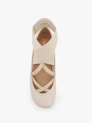 Dior Leather Ballerinas With Elastic Straps - Multicolor