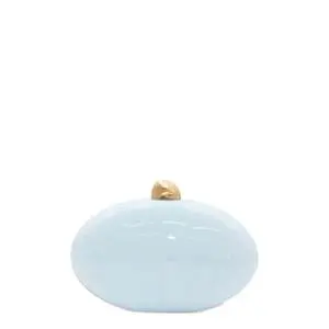 Cult Gaia Acrylic Clutch