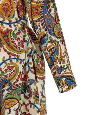 Etro Paisley Foliage Cotton Midi Dress