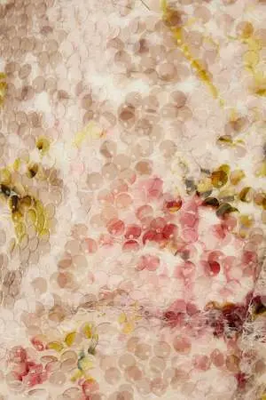 Alberta Ferretti Sleeveless Sequined Top