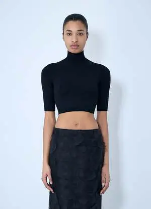 Max Mara High Neck Cropped Knit Top With Short Sleeves