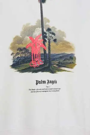 Palm Angels Crewneck Sweatshirt With Graphic Print