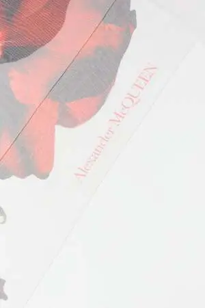 Alexander McQueen Accessories Scarves & Shawls