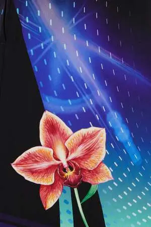 Casablanca Printed Athletic Shorts