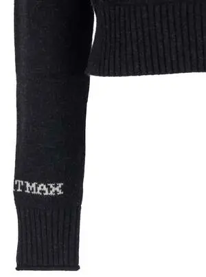 Sportmax Agadir Wool And Cashmere Crewneck Sweater With Logo Lettering - Multicolor