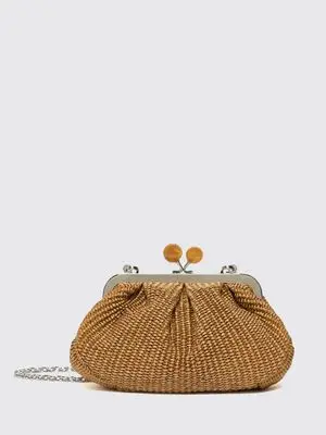 Max Mara Woven Clutch With Clasp Closure
