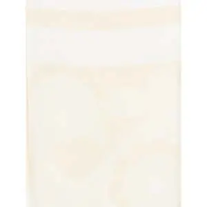 Carven Neutrals Scarves