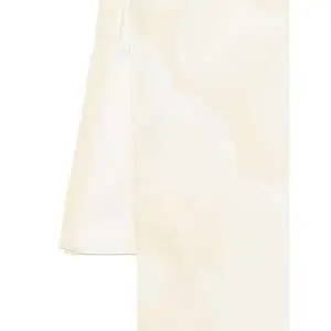 Carven Neutrals Scarves
